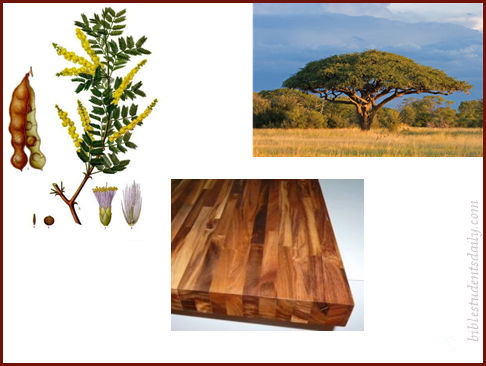 measurements of the tabernacle – BIBLE Students DAILY