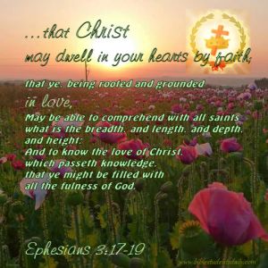 How is Your Zeal? – BIBLE Students DAILY