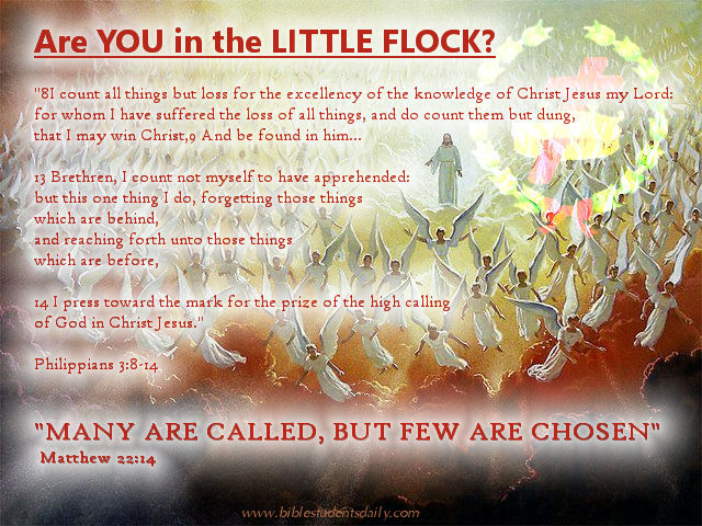 Are You in the Little Flock? – BIBLE Students DAILY