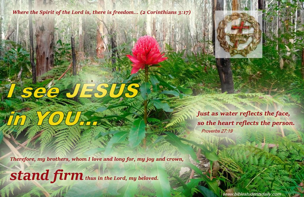 I See Jesus In You … – BIBLE Students DAILY