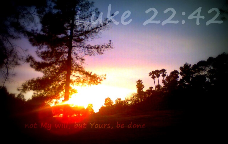 A Proper Fear – BIBLE Students DAILY