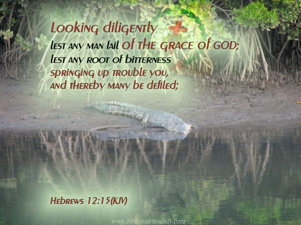 Hebrews 12, 15 – biblestudentsdaily.com – BIBLE Students DAILY