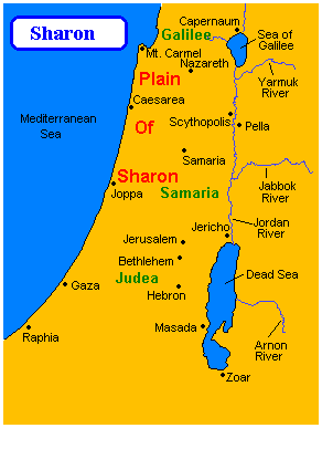 plain-of-sharon – BIBLE Students DAILY