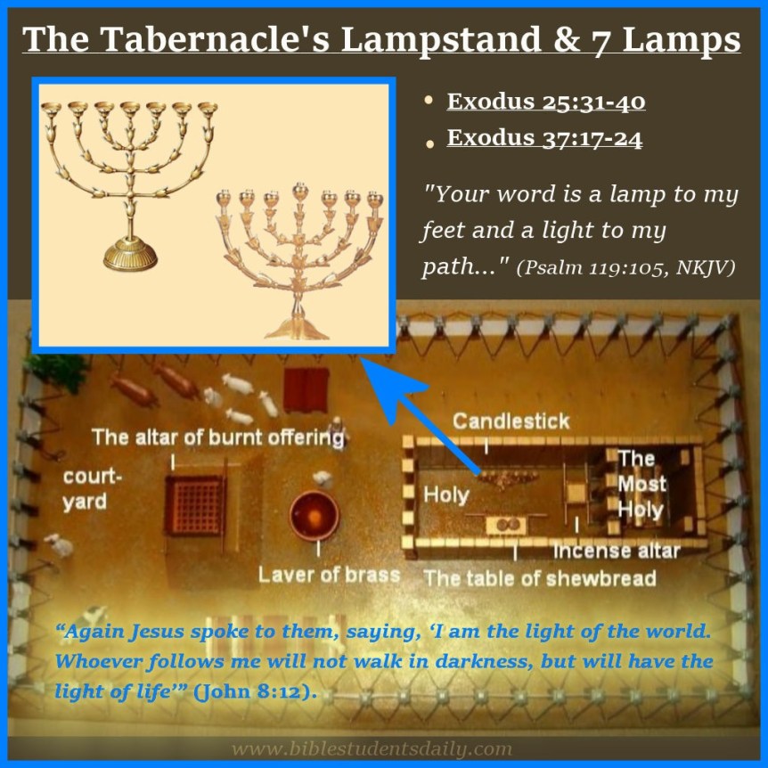 STUDY 10: The Furnishings in the Holy of the Tabernacle – THE LAMPSTAND ...